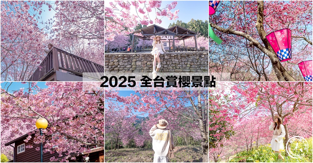 2025台北賞櫻景點推薦|雙北櫻花賞花何處去? 開花情報最前線 – 桃桃's旅人手札